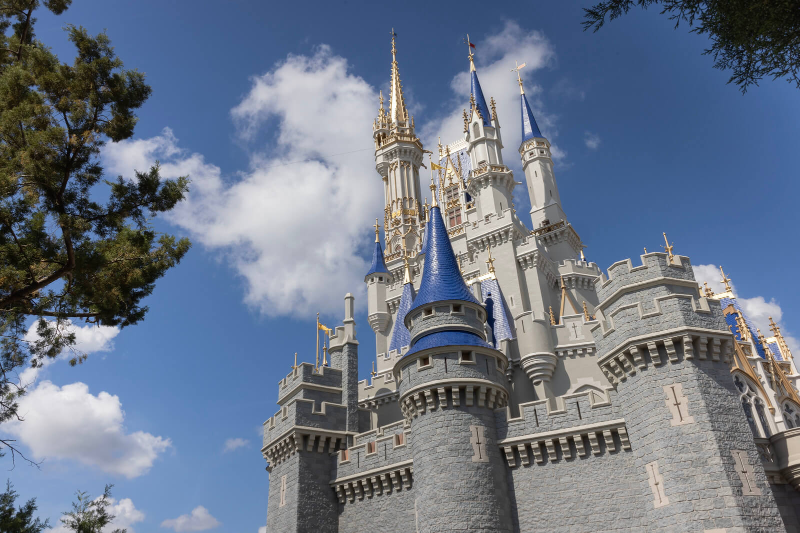 Magic Kingdom Park – Is It Packed? – Real-Time Crowd Tracking ...